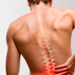 Pinnacle Transplant Technologies - Innovative Allografts Solutions