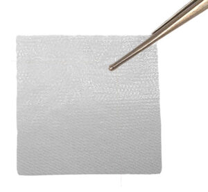 Amniotic Membranes - PalinGen® Dual Layer X-Membrane (Dry)
